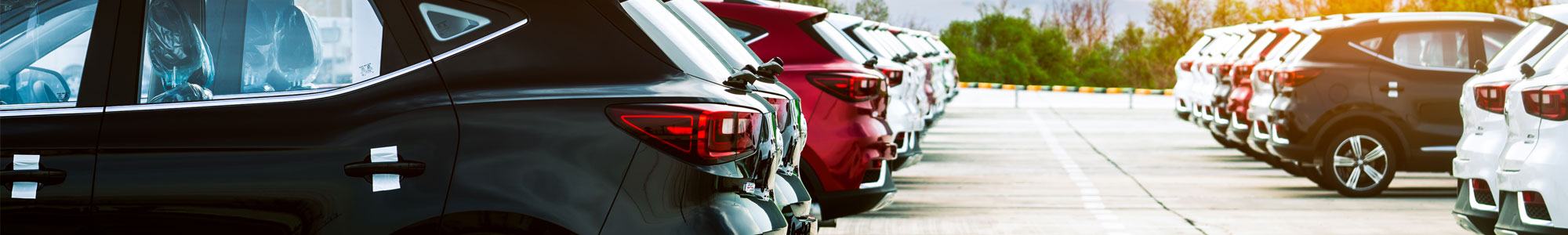 Our History | Performance Auto Group